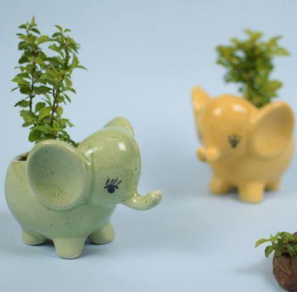 Green Baby Elephant Ceramic Pot — Plant N Pots